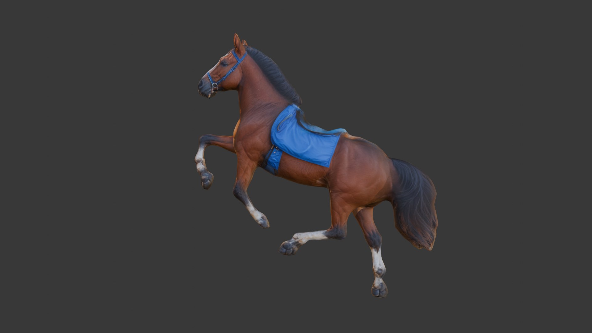 Realistic 3D Horse Model 3D Model - TurboSquid 2253232