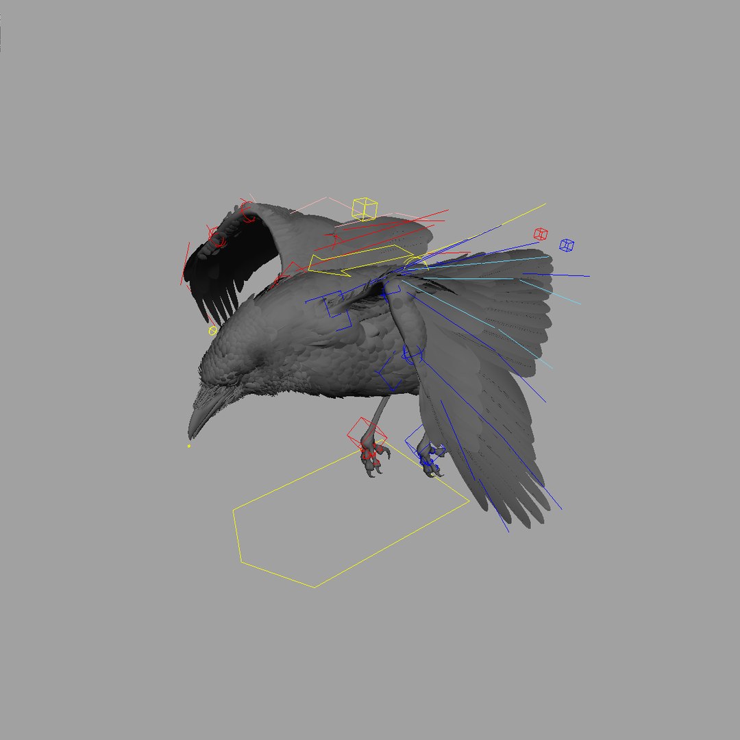 Realistic Raven 3d Ma
