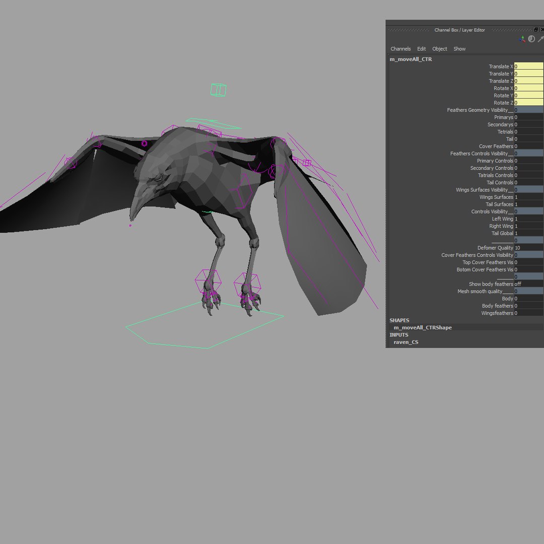 Realistic Raven 3d Ma