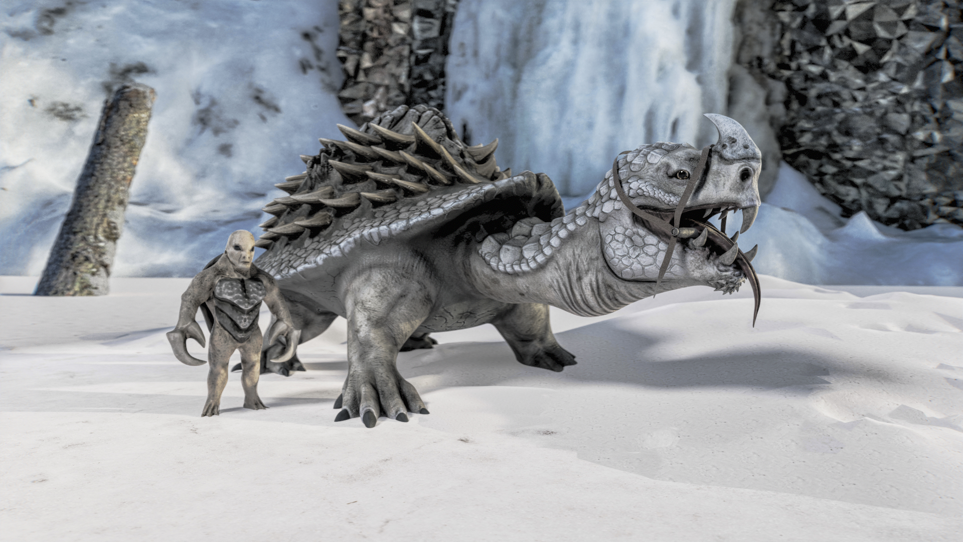 3D Turtles Mount Rider - Tortilla Ryder - Model - Creature Animated ...