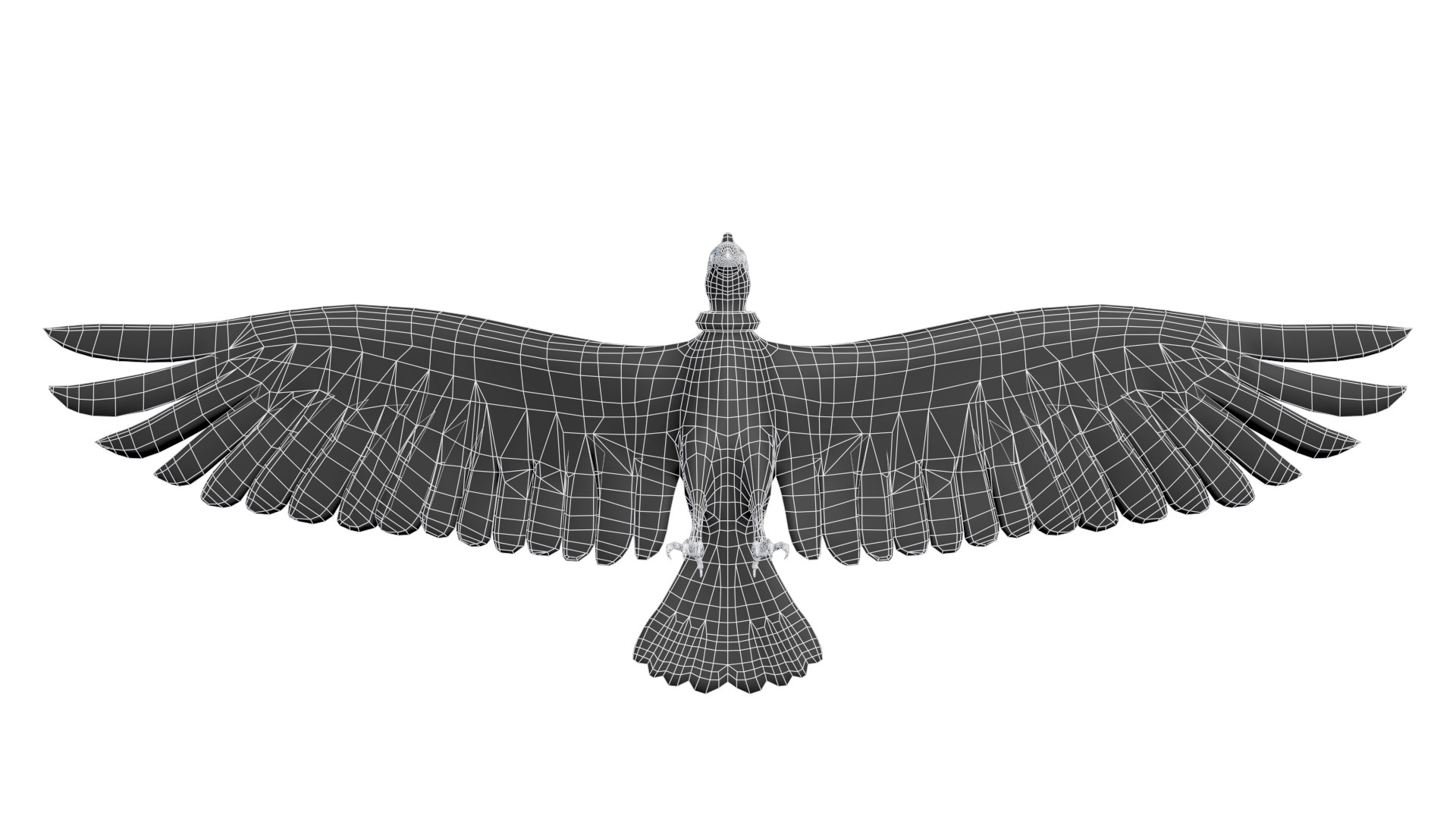 Animated Rigged Condor Model - TurboSquid 1867719
