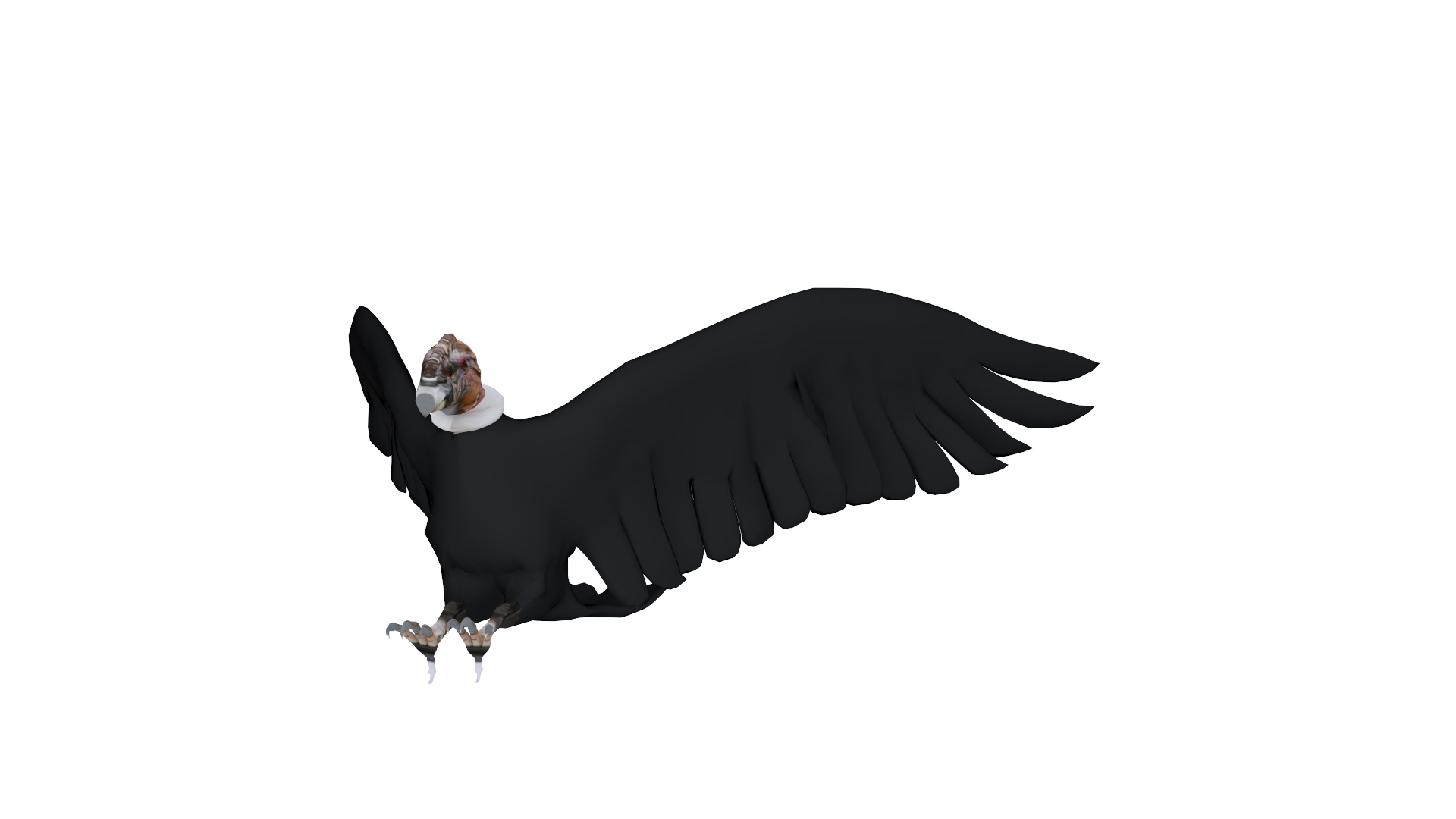Animated Rigged Condor model - TurboSquid 1867719