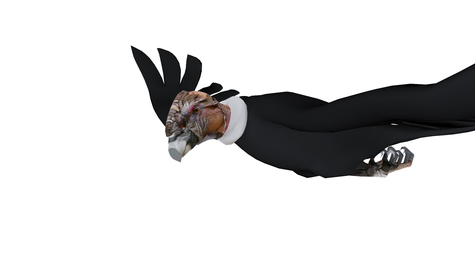 Animated Rigged Condor Model - TurboSquid 1867719