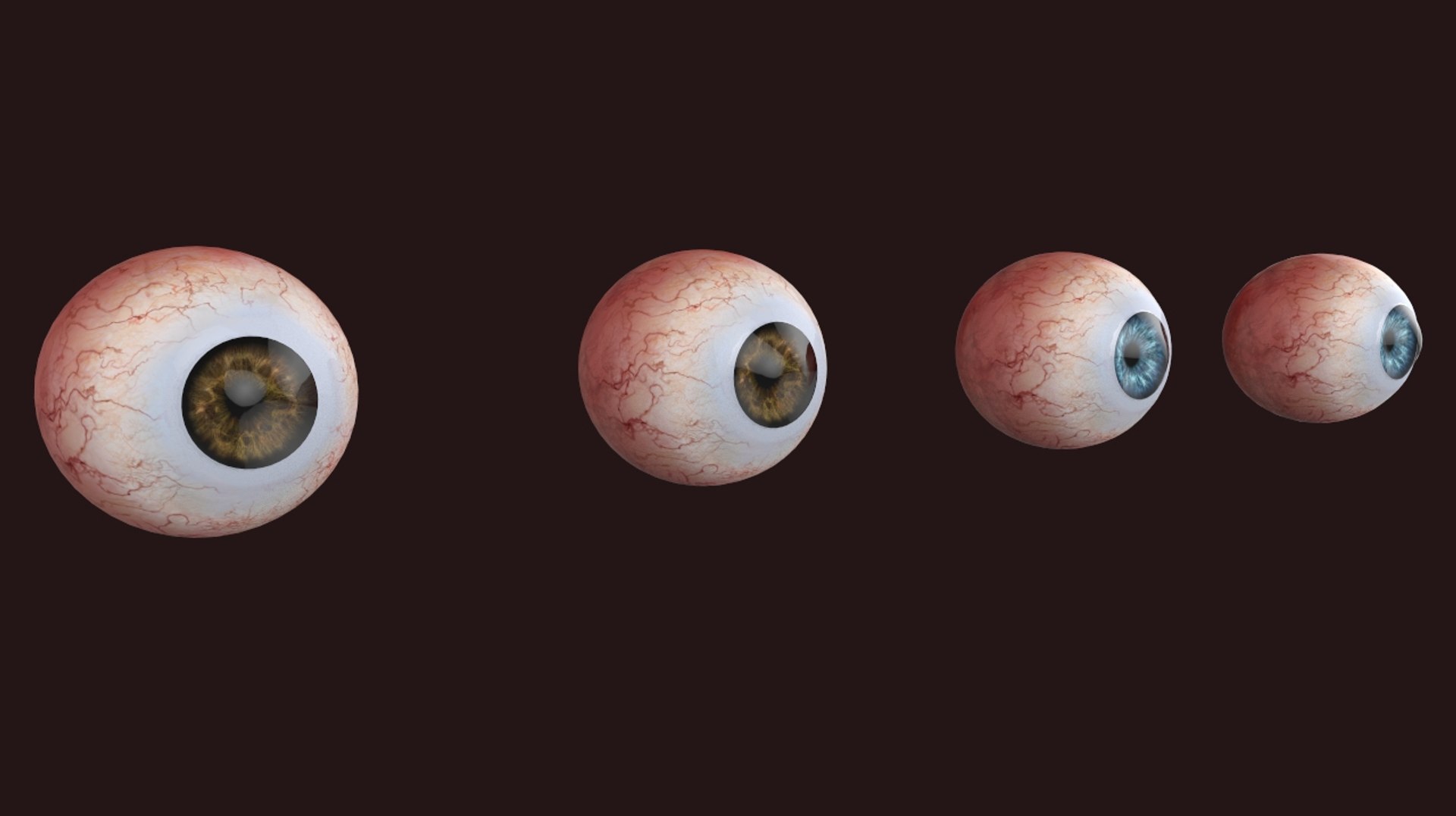 3d model realistic human eye
