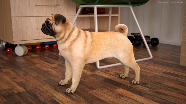 Pug dog rigged 3D model - TurboSquid 1681738