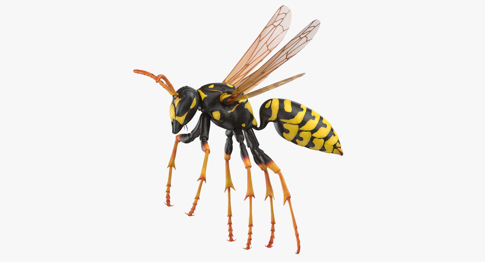 3D Paper Wasp Flying - TurboSquid 1367391