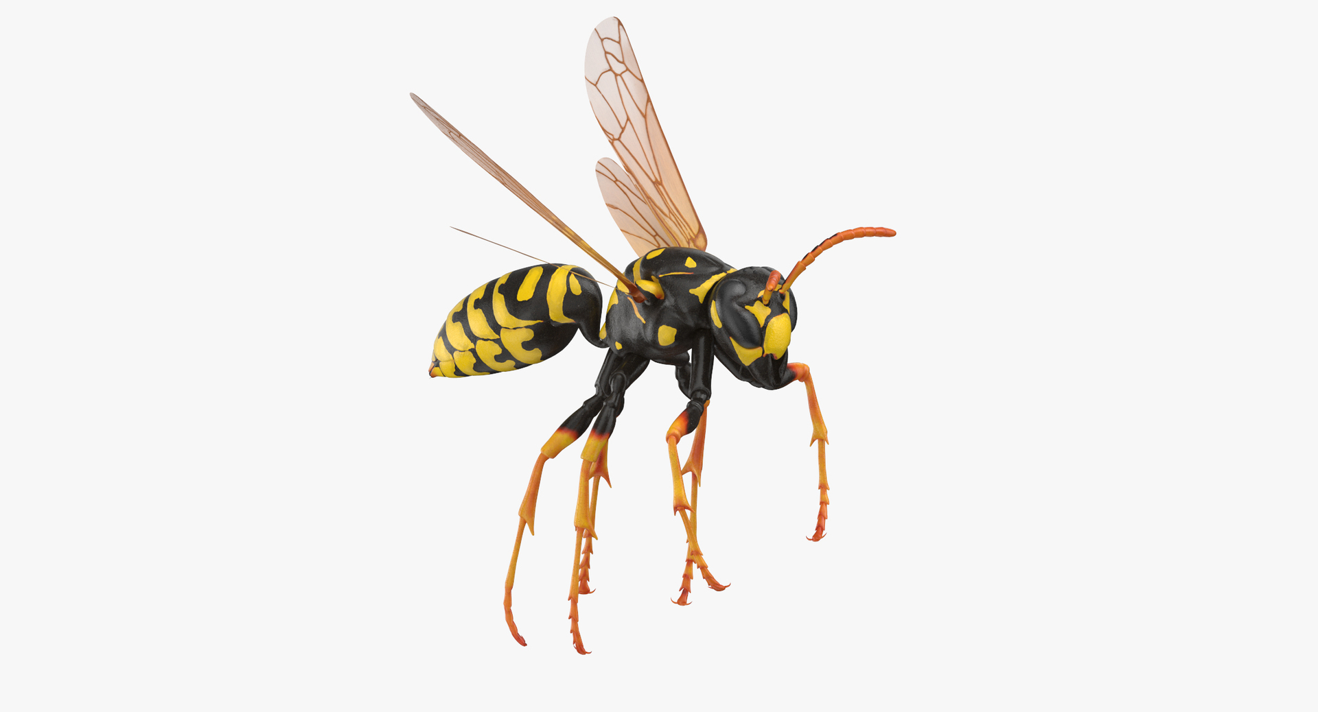 3D Paper Wasp Flying - TurboSquid 1367391