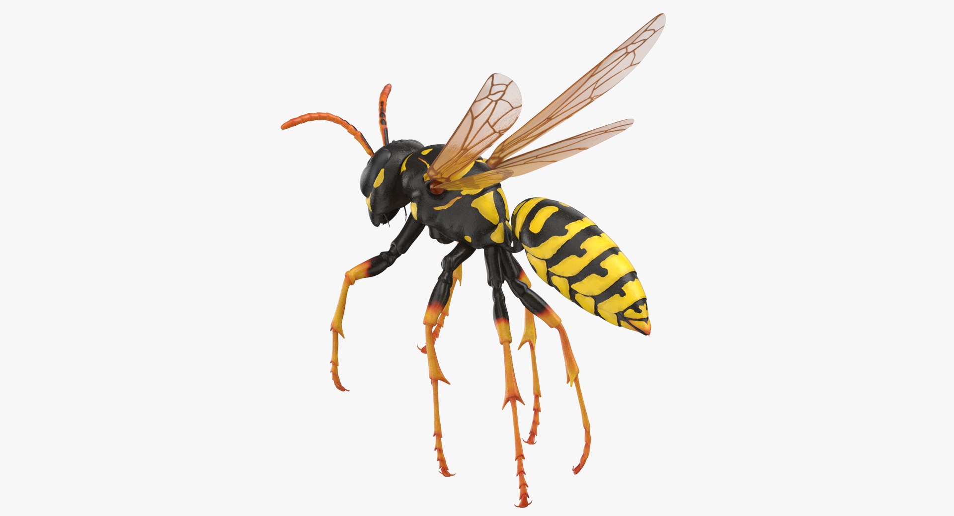 3D Paper Wasp Flying - TurboSquid 1367391
