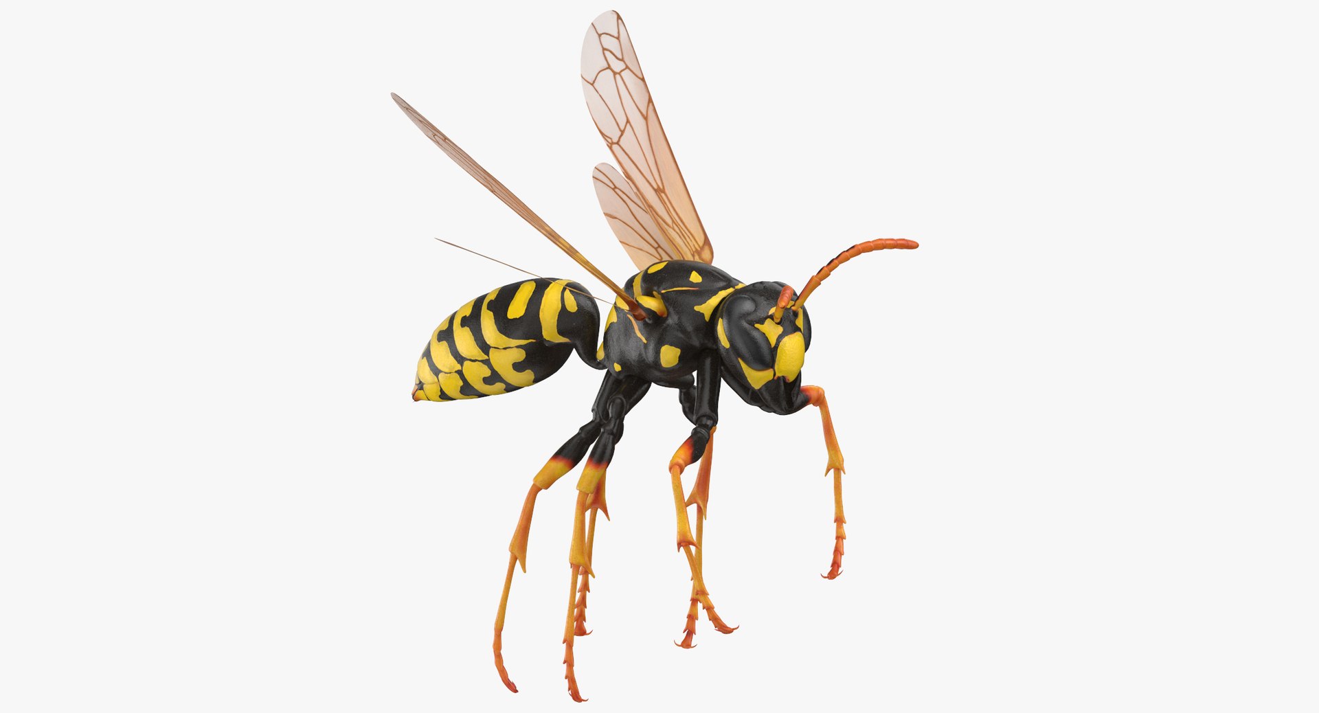 3D paper wasp flying - TurboSquid 1367391