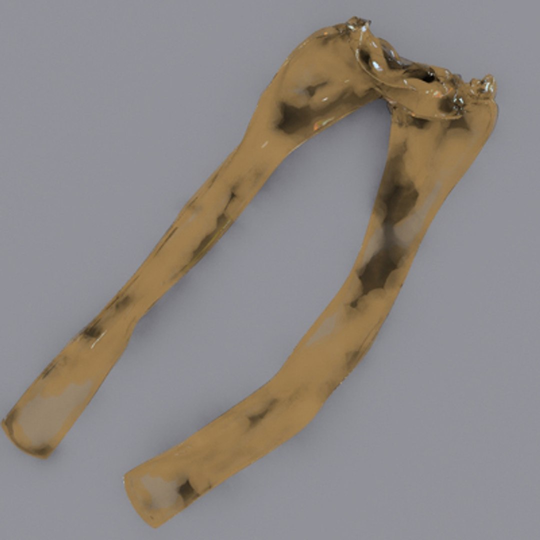 pantyhose tights 3d model