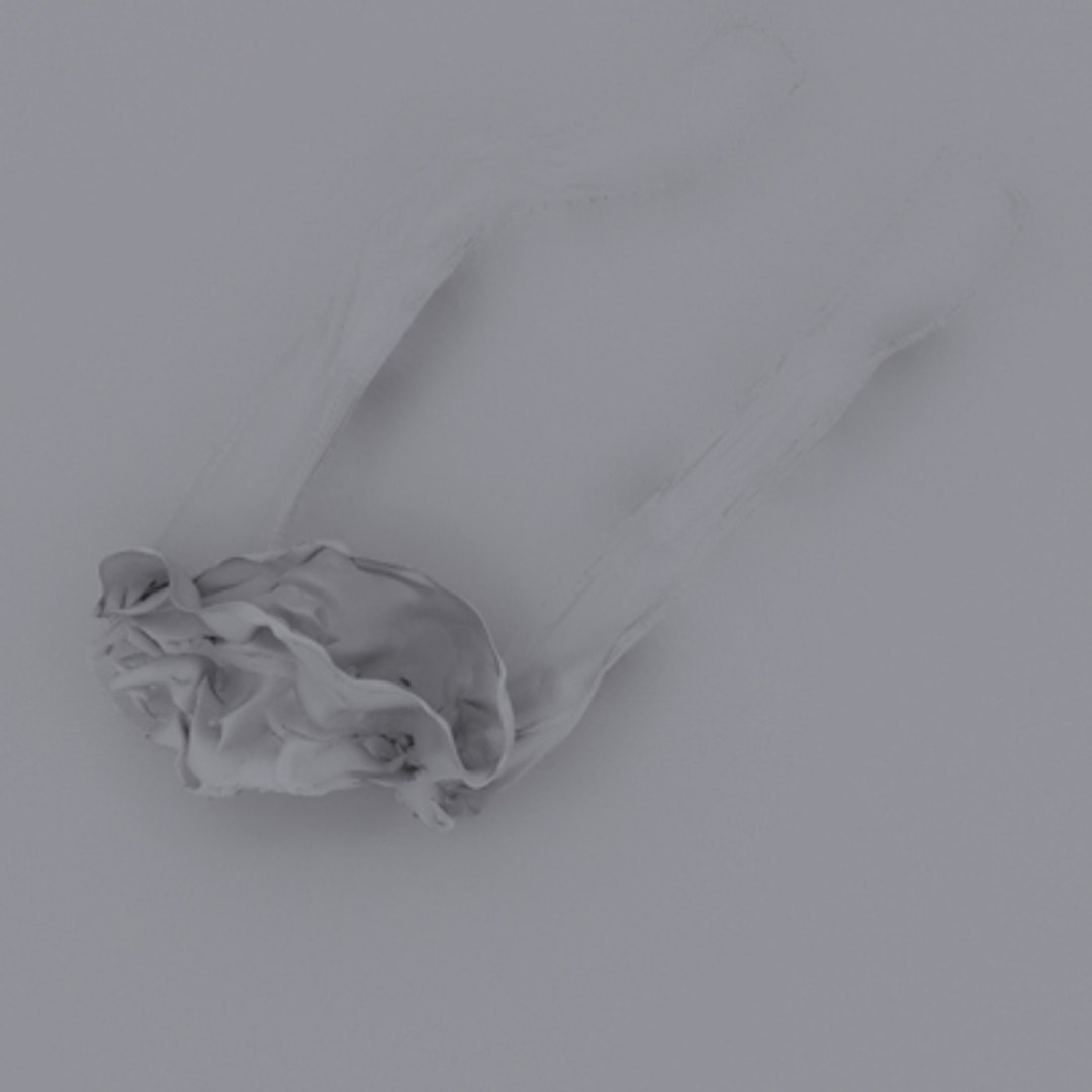 pantyhose tights 3d model