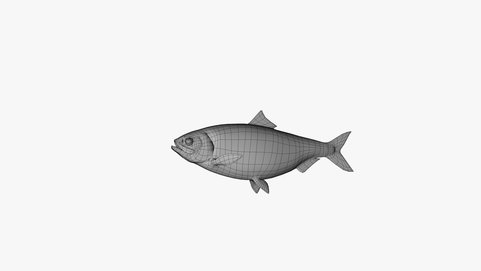 3D American Shad - TurboSquid 2132536