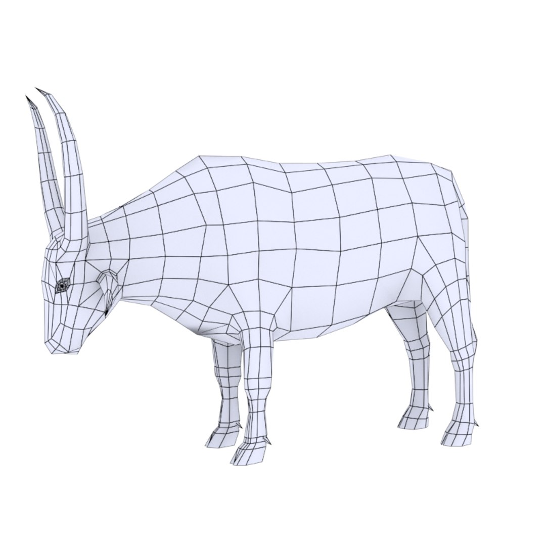 Buffalo 3D Model - TurboSquid 1161700