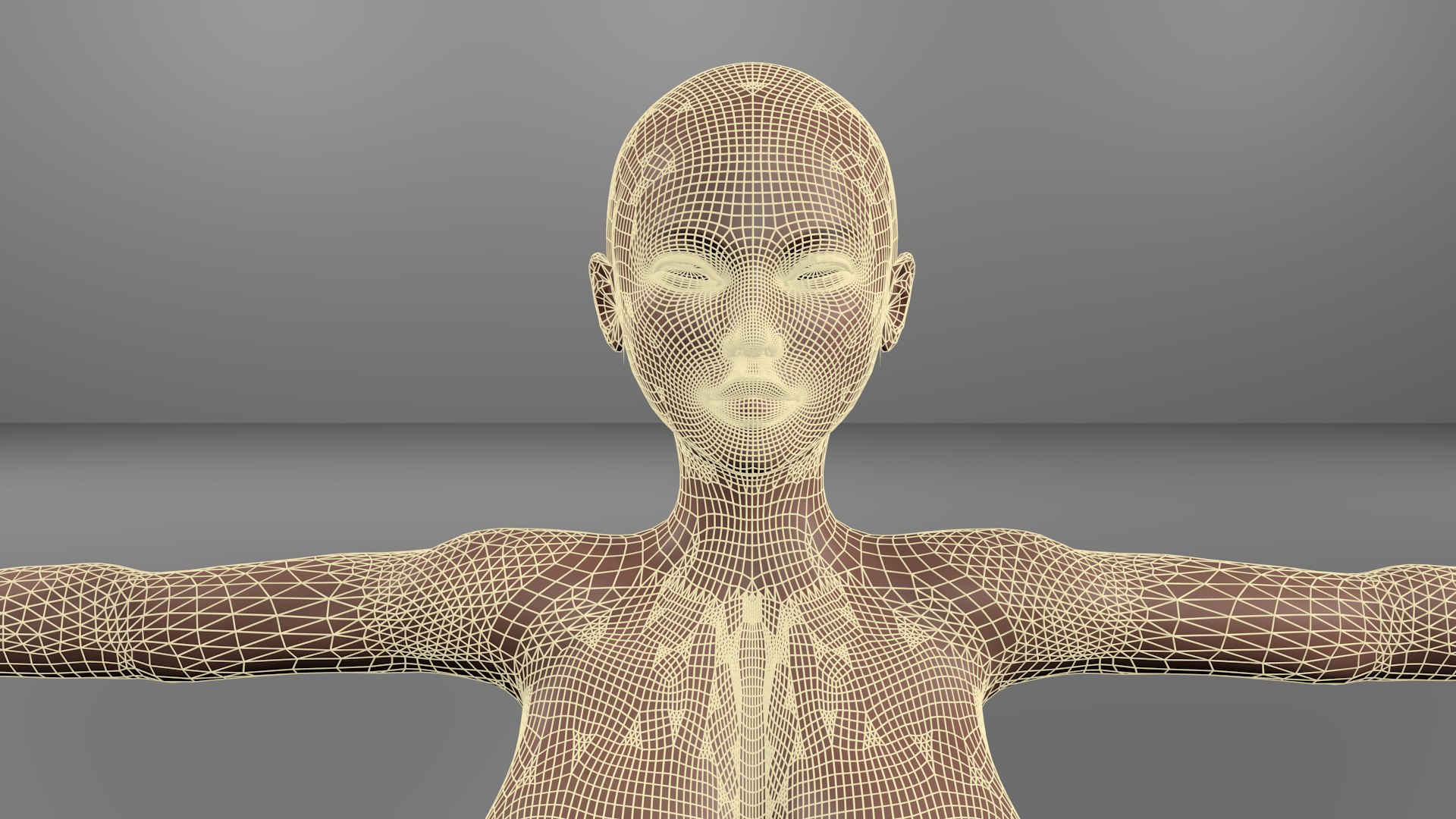 3d Rigged Female Body Model