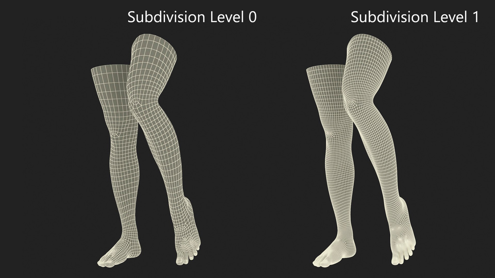 Female Legs And Feet Position 3D Model - TurboSquid 2270156
