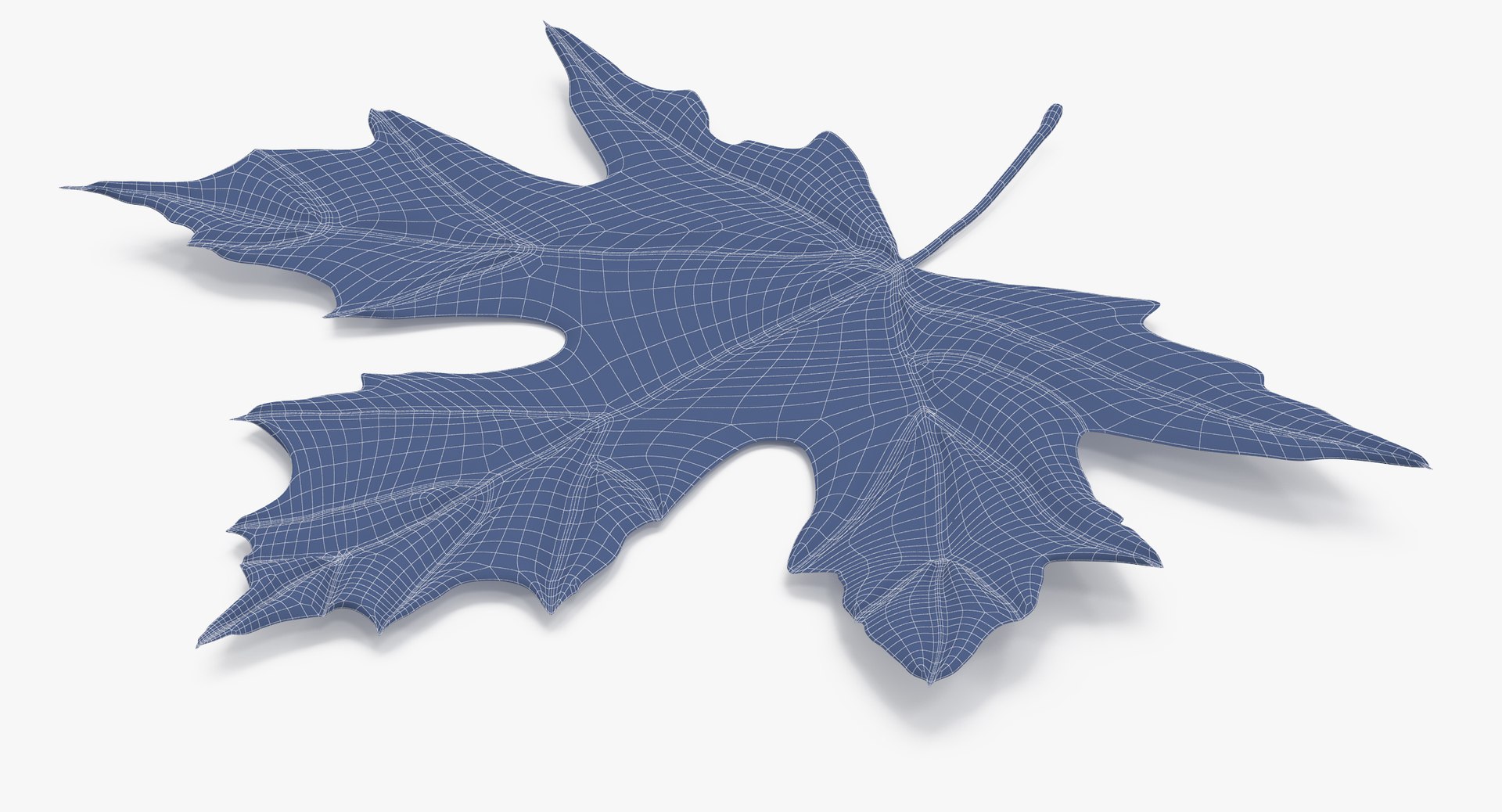3d green maple leaf model