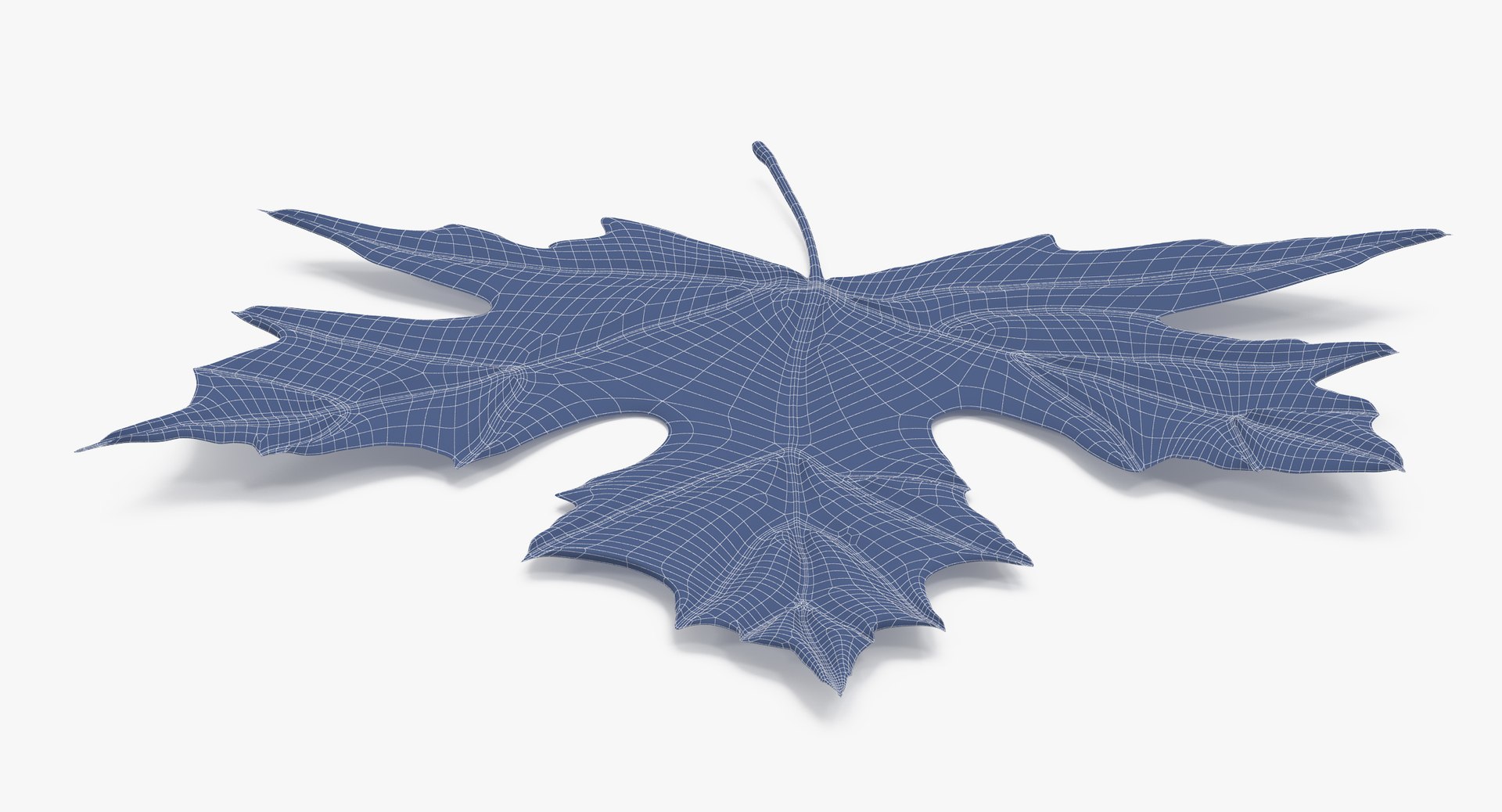 3d green maple leaf model