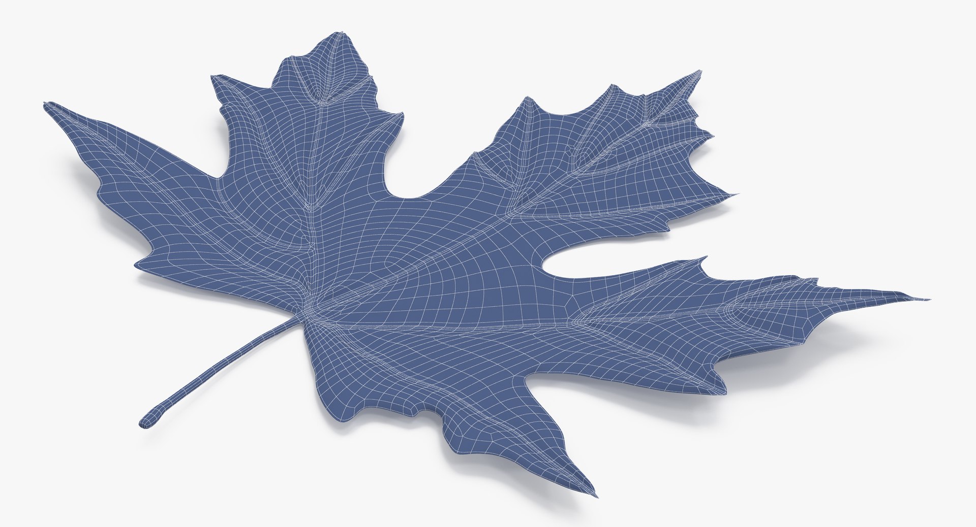 3d green maple leaf model