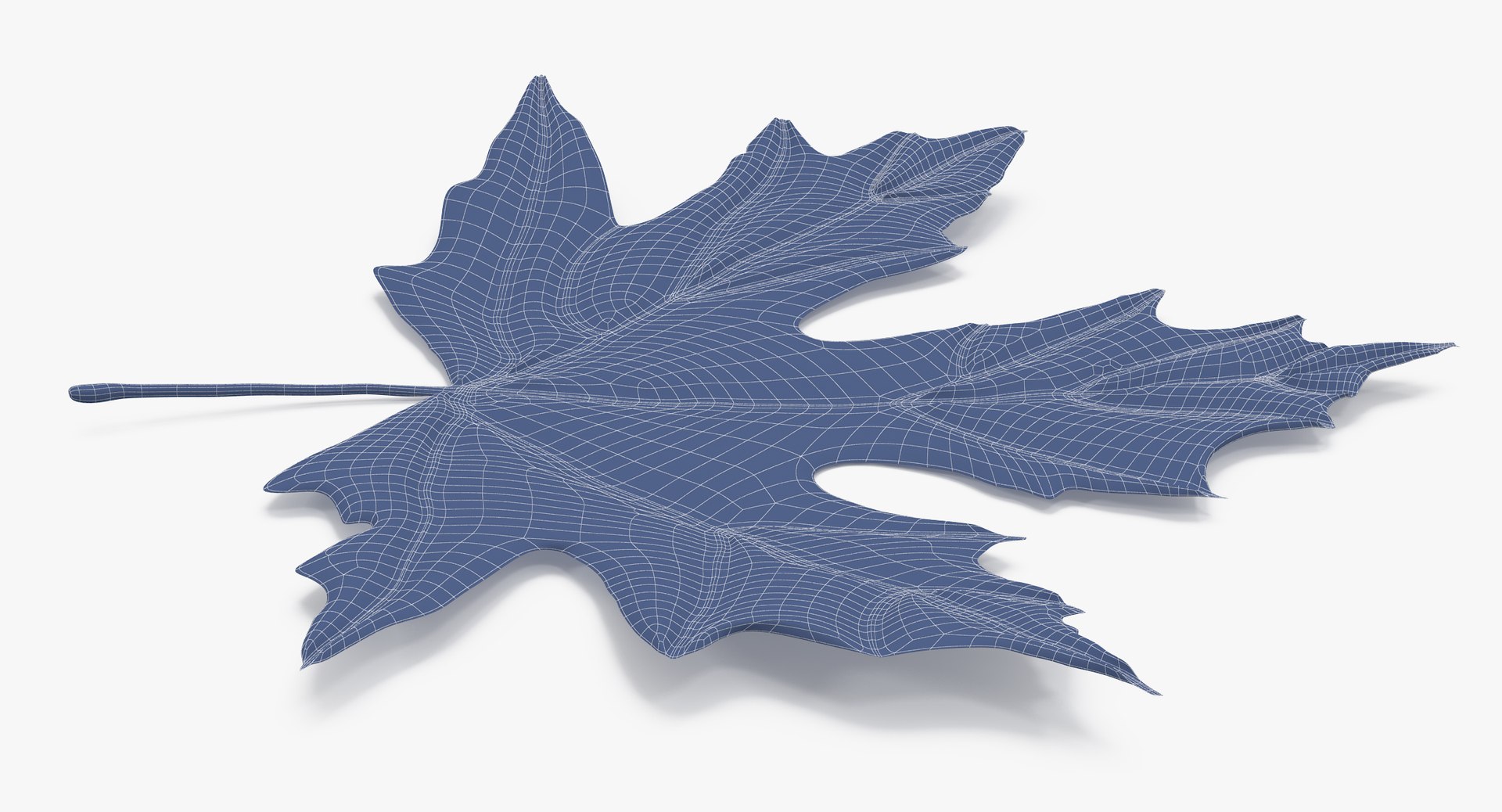 3d green maple leaf model