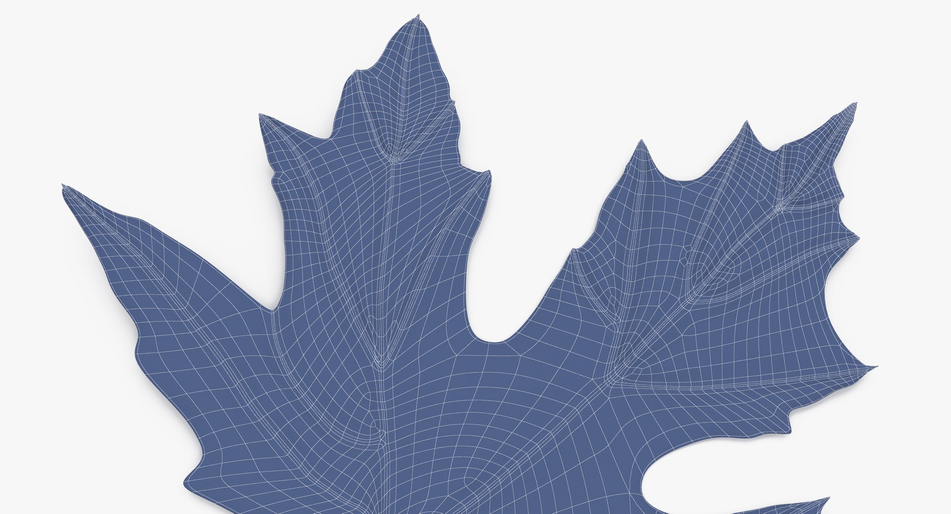 3d green maple leaf model