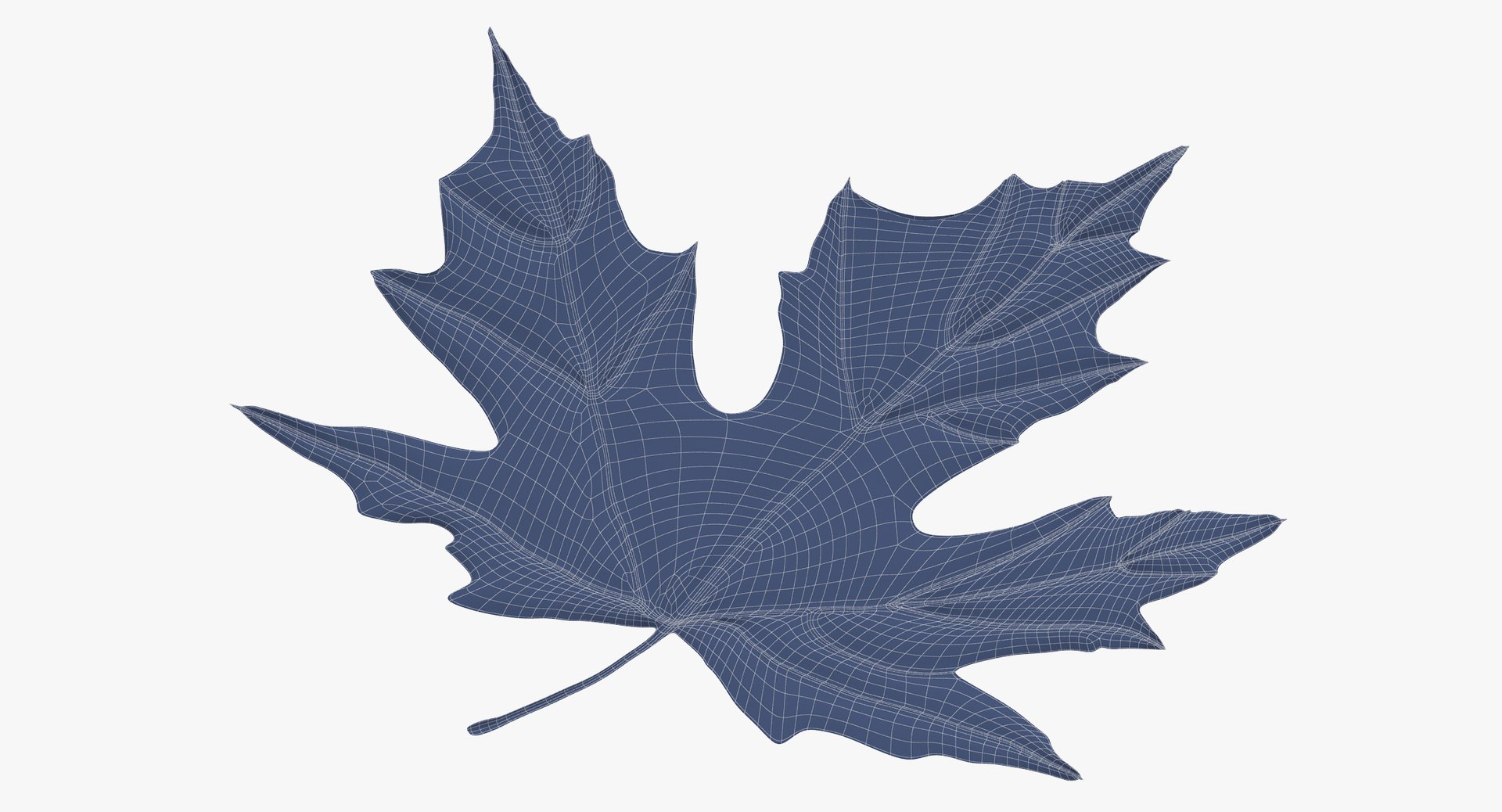 3d green maple leaf model
