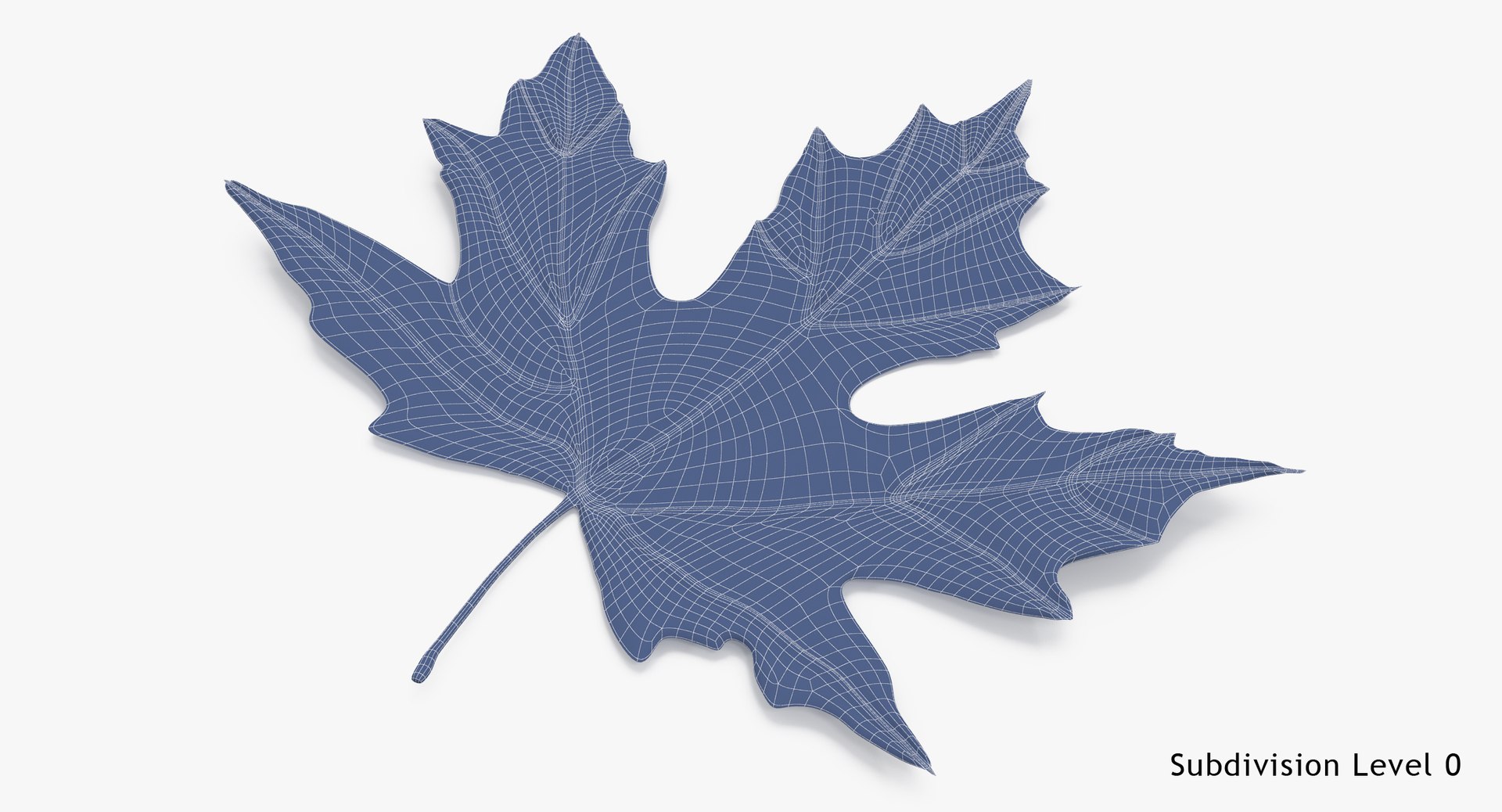 3d green maple leaf model