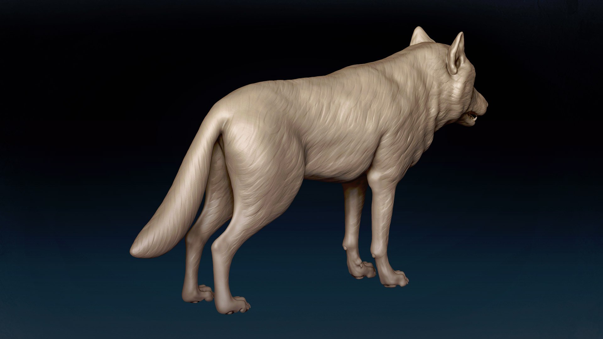 Gray Wolf Base Mesh 3D Model 3D Model - TurboSquid 1863594