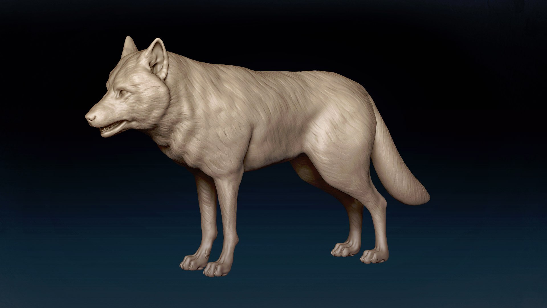 Gray Wolf Base Mesh 3D Model 3D Model - TurboSquid 1863594