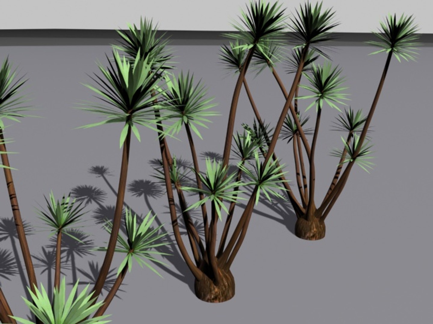 Palm Tree Yucca 3d Model