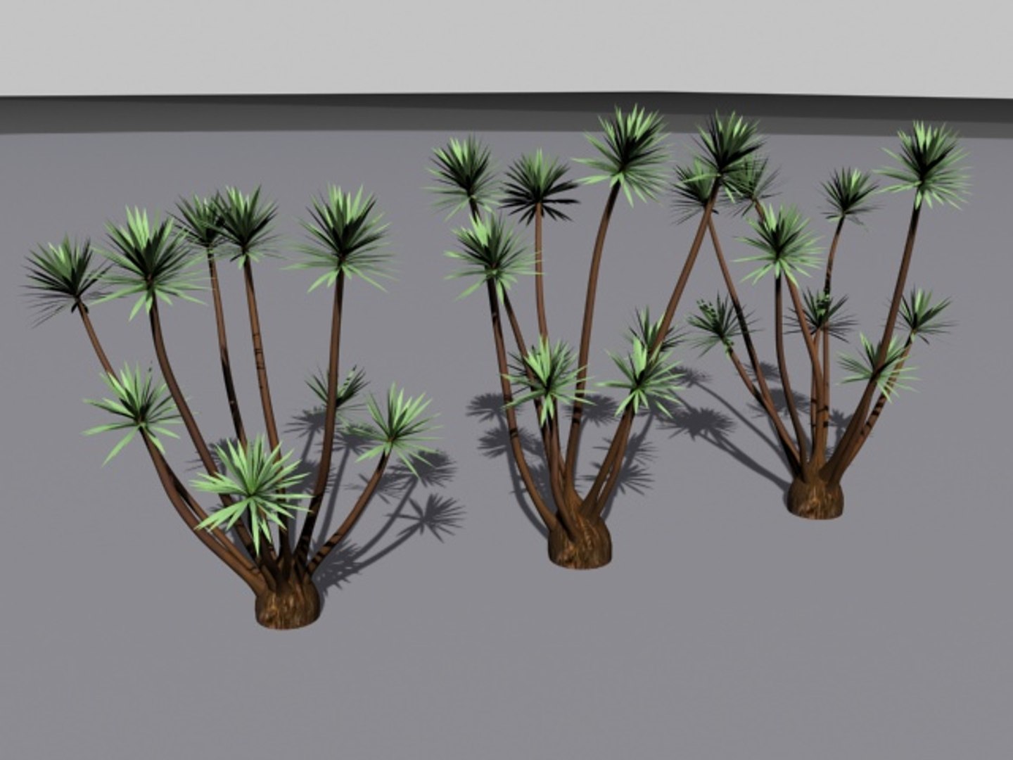 Palm Tree Yucca 3d Model