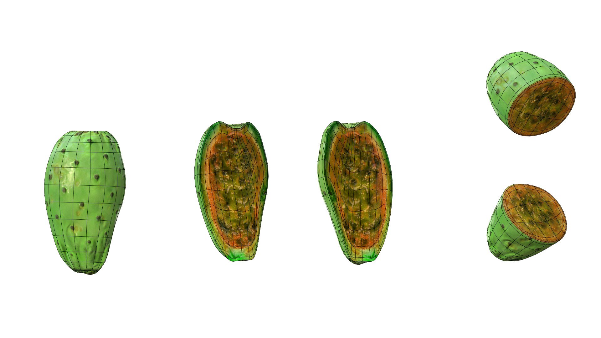 3D Prickly Pear green model - TurboSquid 2120401