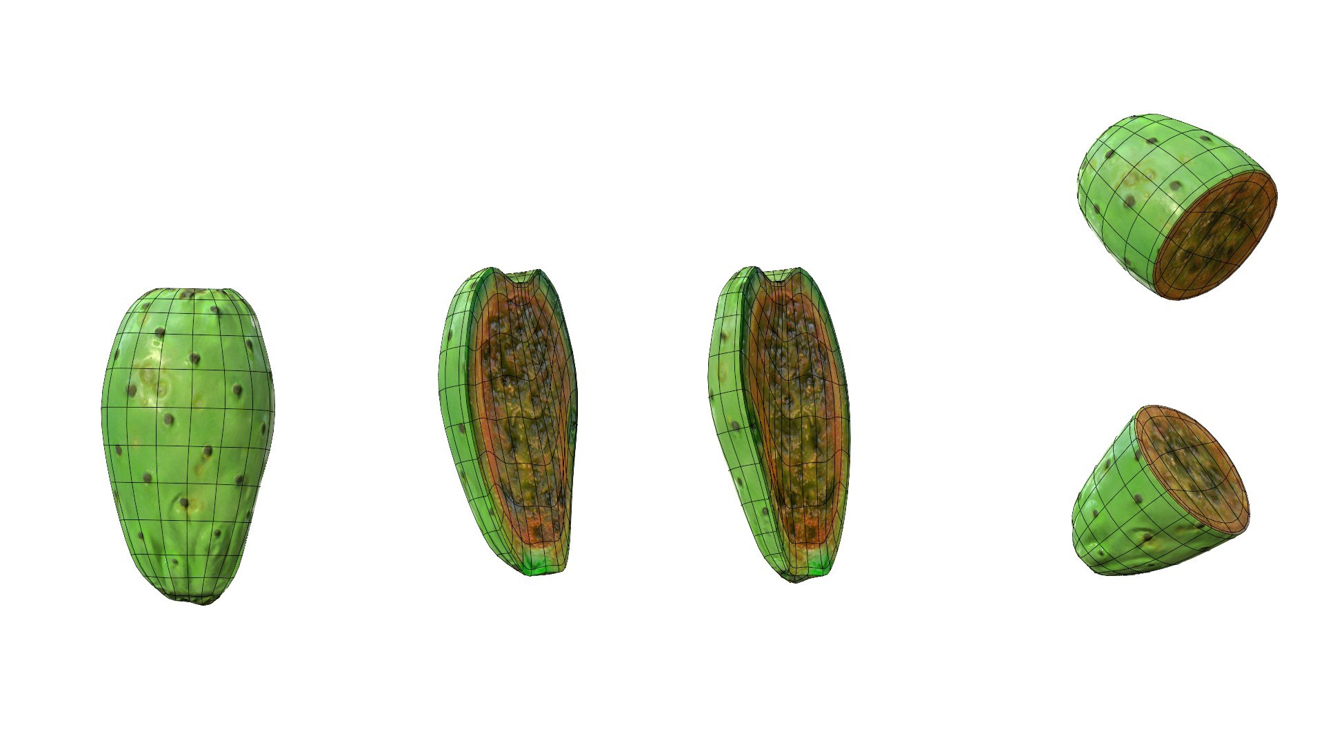 3D Prickly Pear green model - TurboSquid 2120401