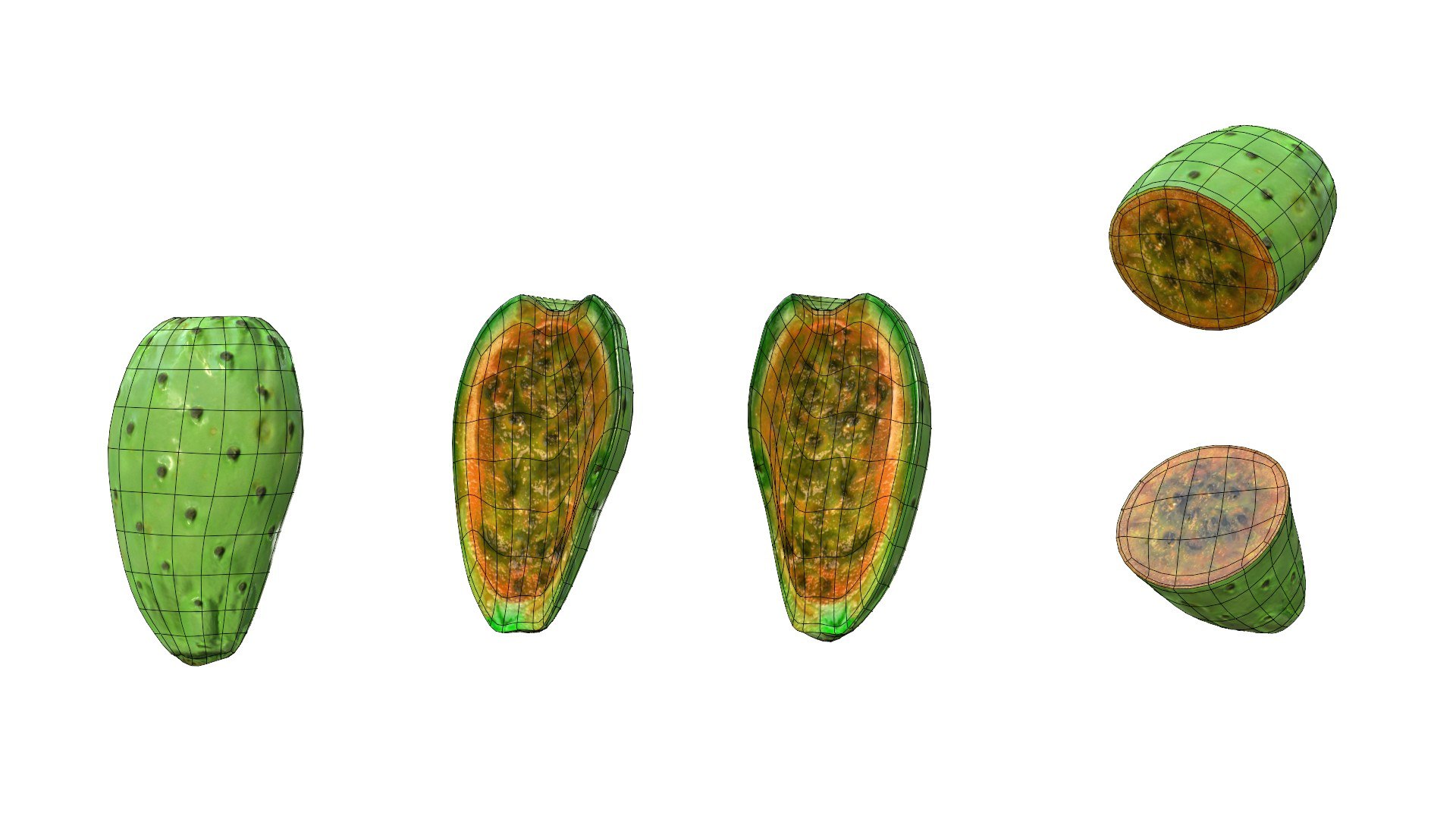 3D Prickly Pear green model - TurboSquid 2120401