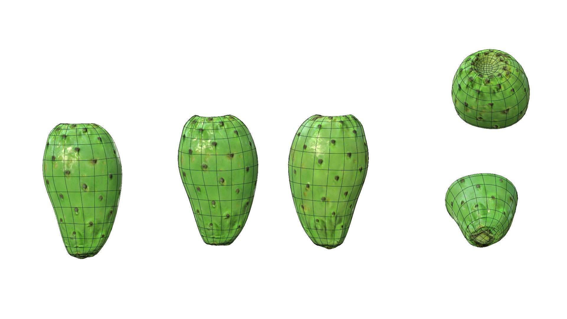 3D Prickly Pear green model - TurboSquid 2120401