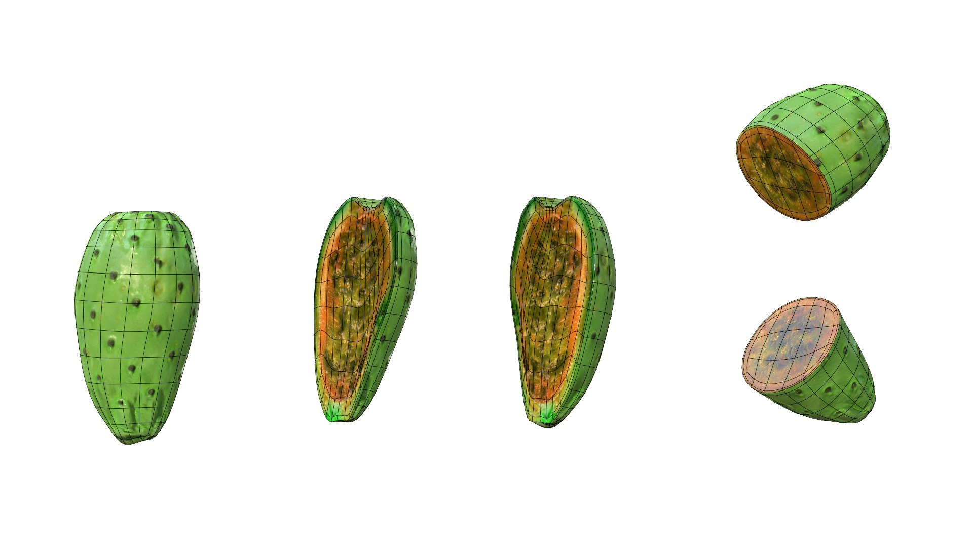 3D Prickly Pear green model - TurboSquid 2120401