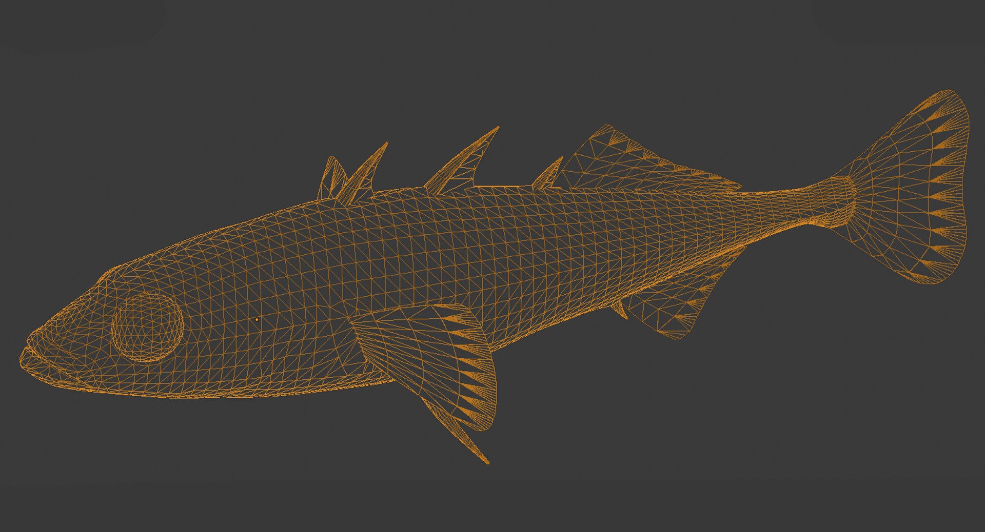 3d Swimming Model