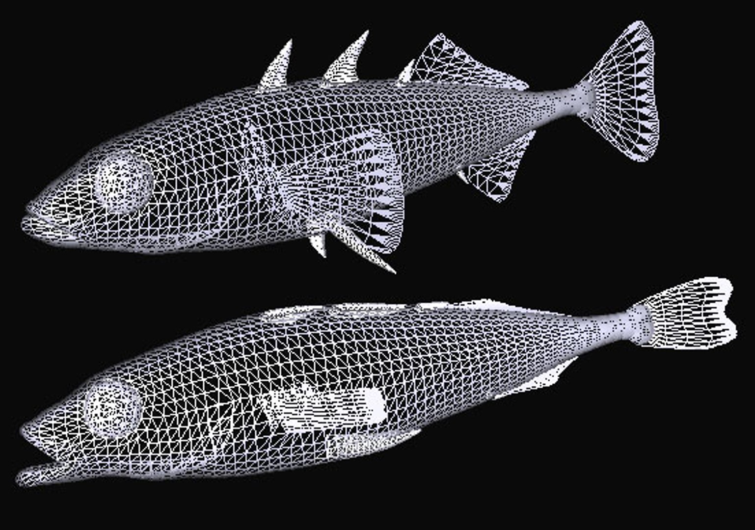 3d Swimming Model