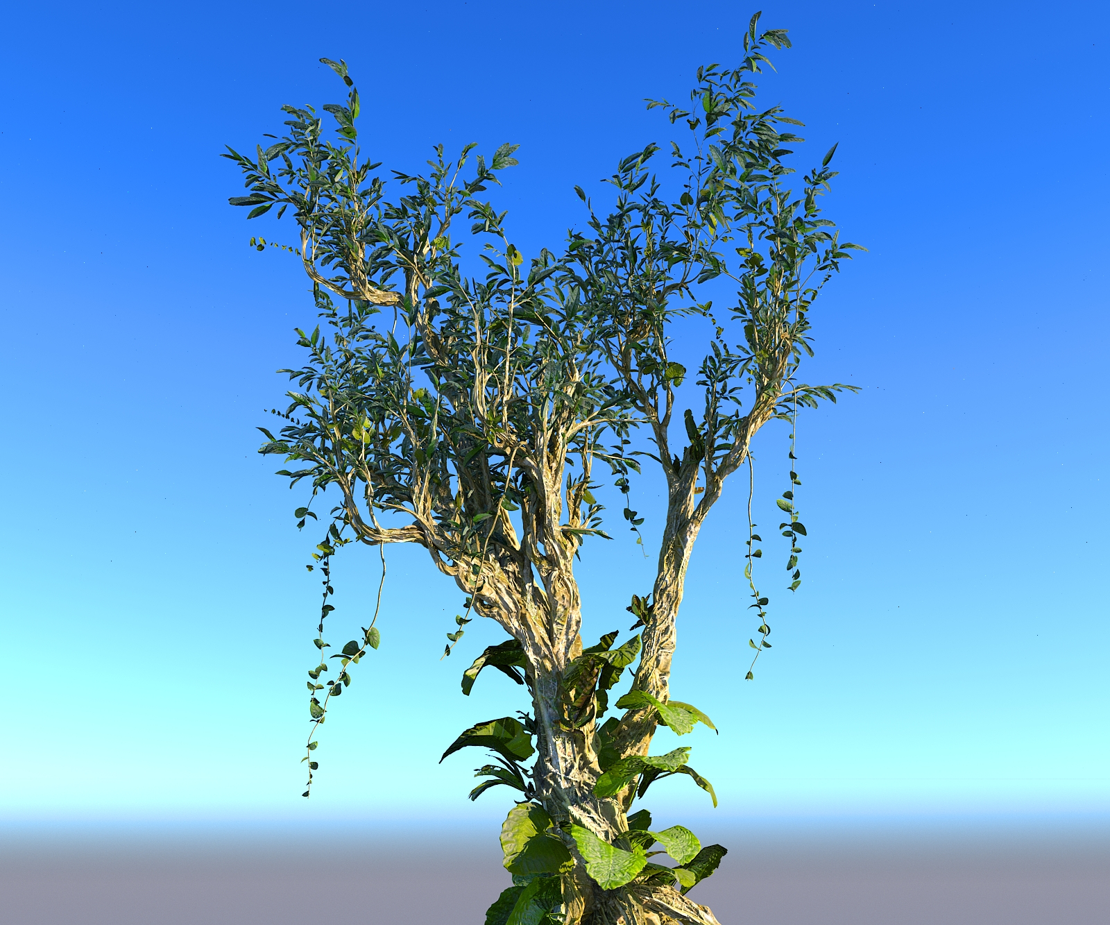 3D rain forest ecosystems - TurboSquid 1466097