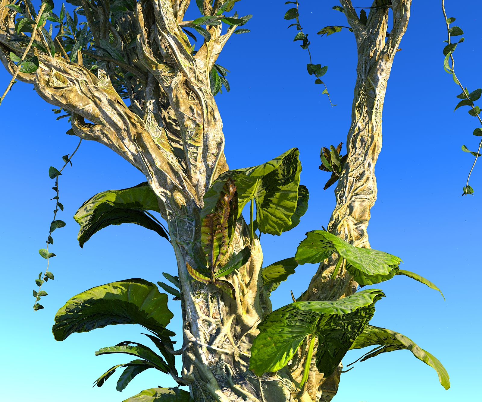 3D rain forest ecosystems - TurboSquid 1466097