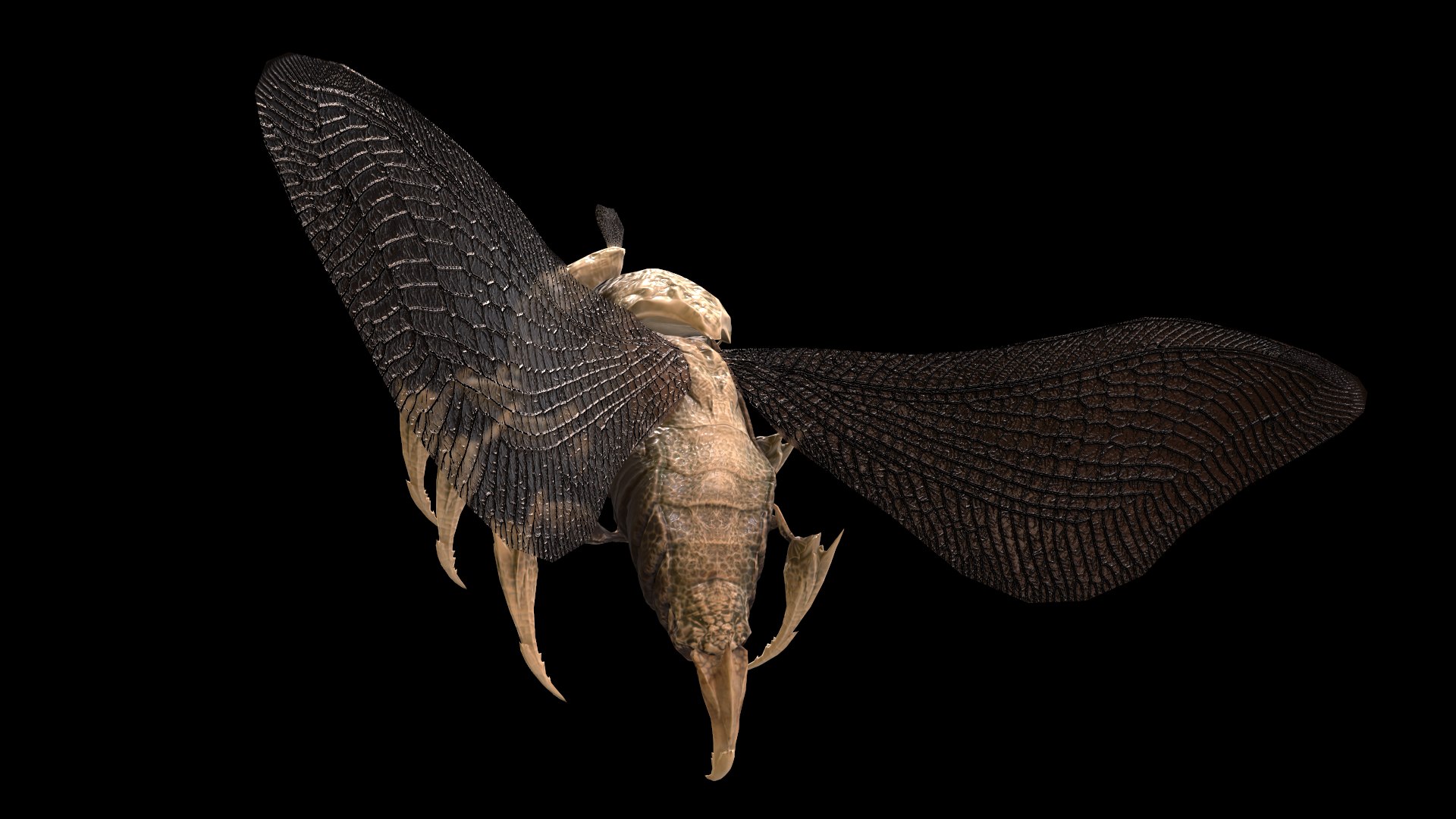 3D Flying Bug 12 - TurboSquid 1742010