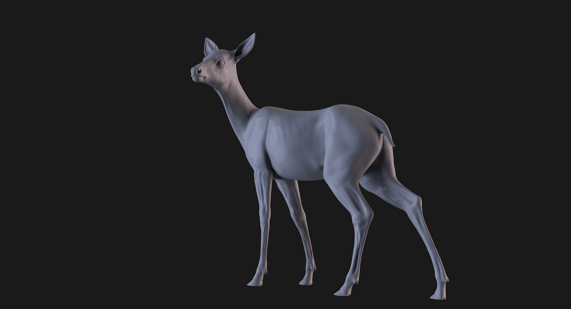 3D Deer Pack For Decoration Model - TurboSquid 2352332
