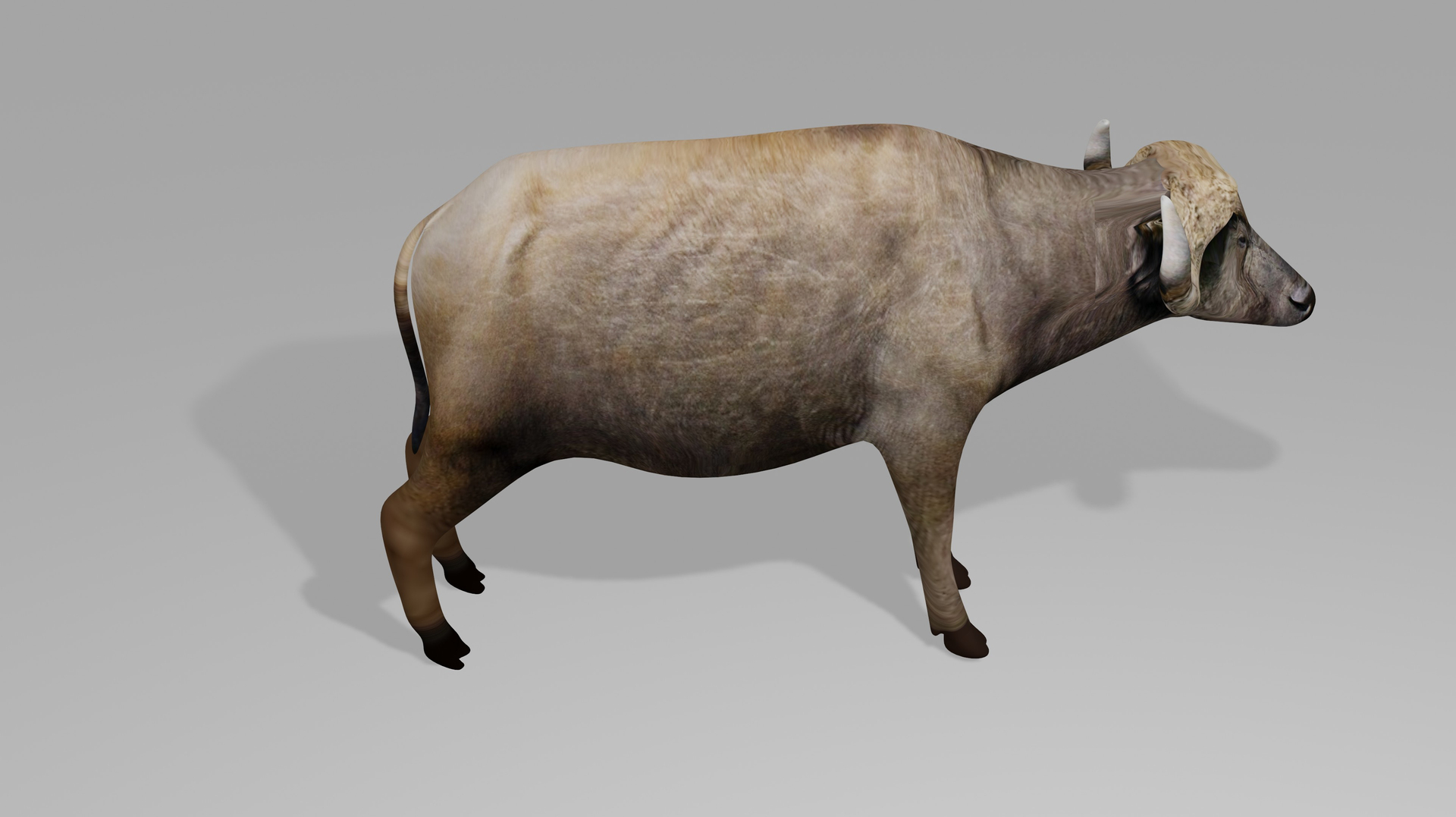 3D Model Realistic Buffalo OBJ Blend - TurboSquid 2217506
