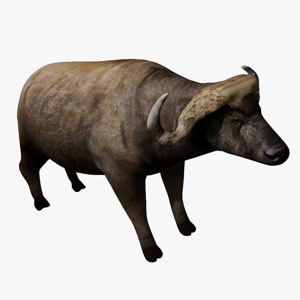 modelo 3d Mezcla realista de Buffalo OBJ - TurboSquid 2217506