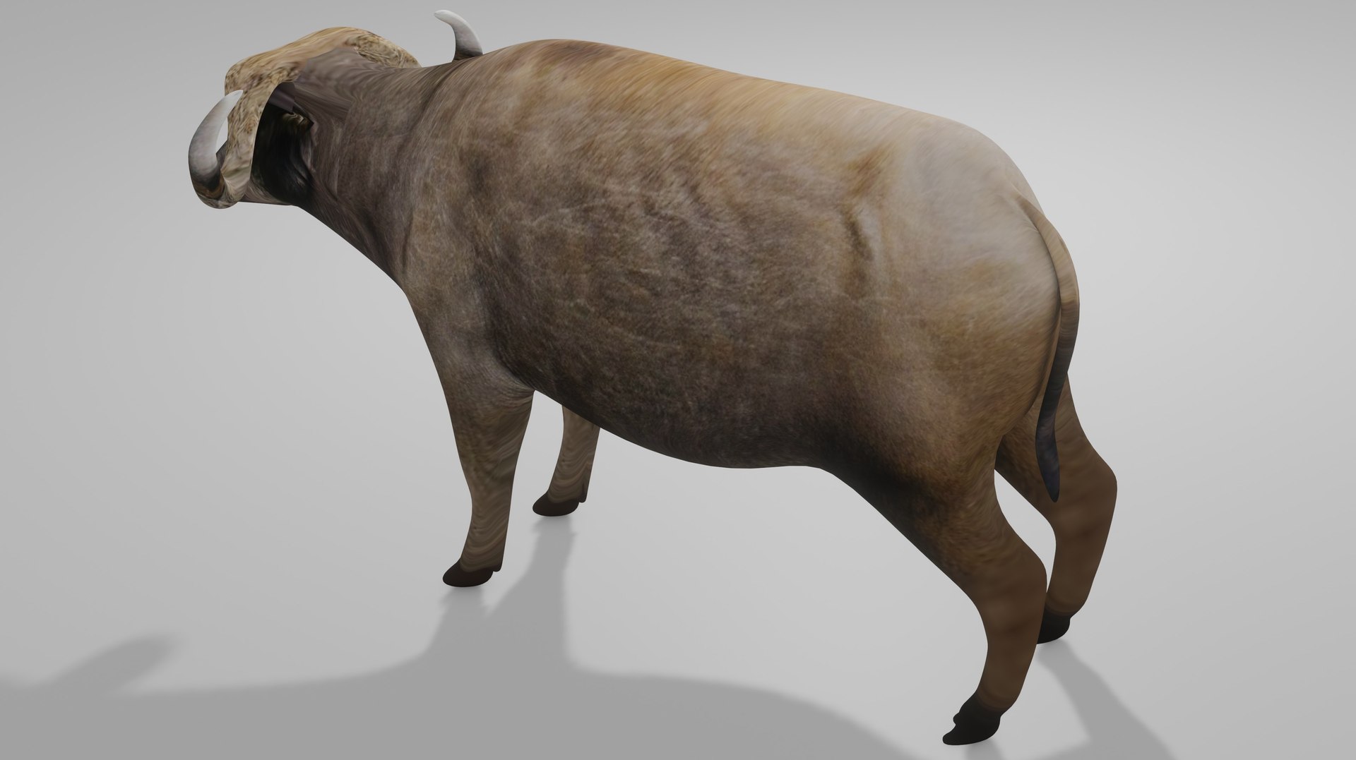 3D Model Realistic Buffalo OBJ Blend - TurboSquid 2217506
