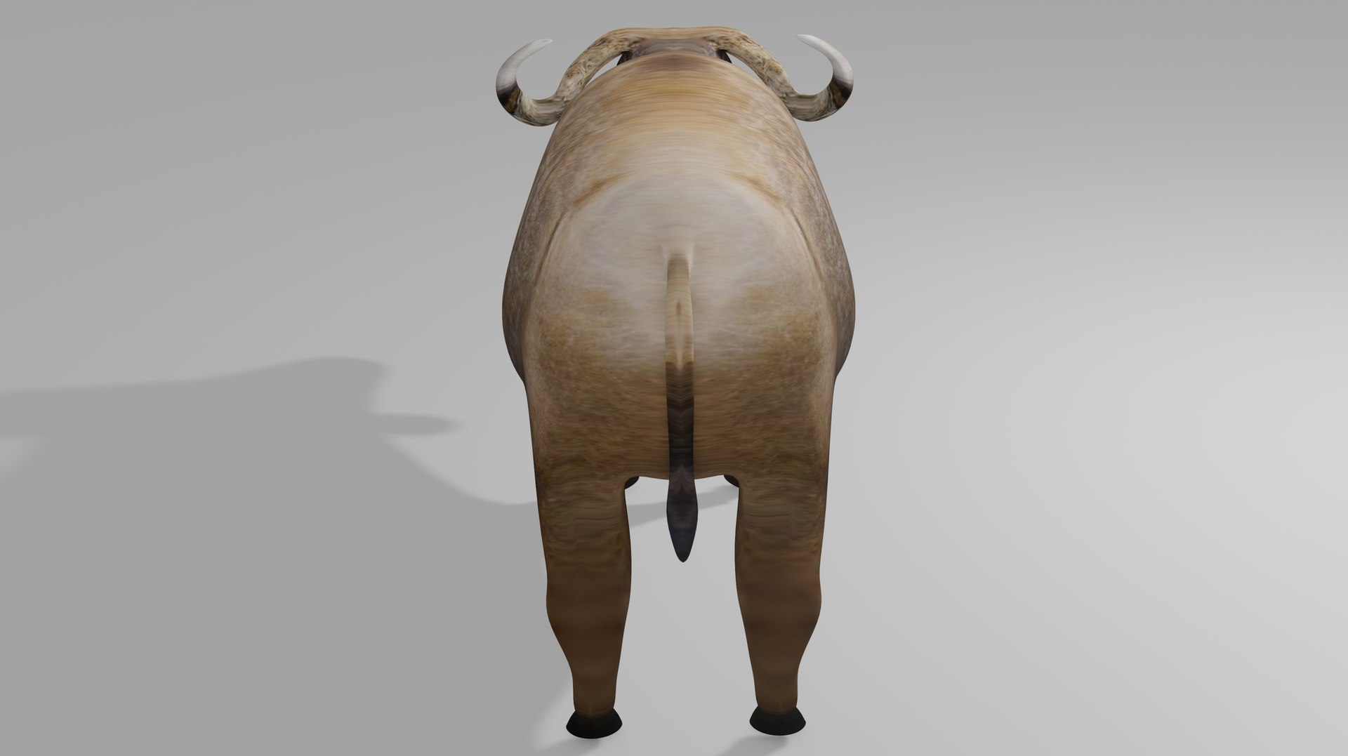 3D Model Realistic Buffalo OBJ Blend - TurboSquid 2217506