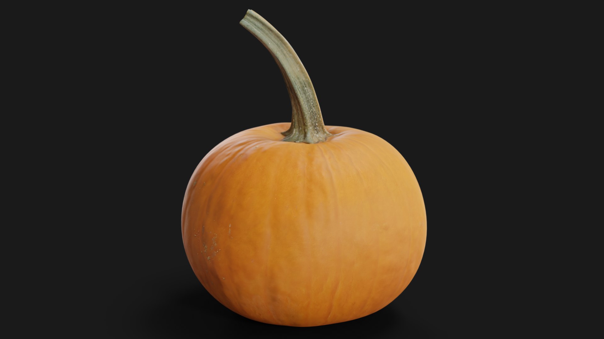 The Pumpkin 3D - TurboSquid 2306192