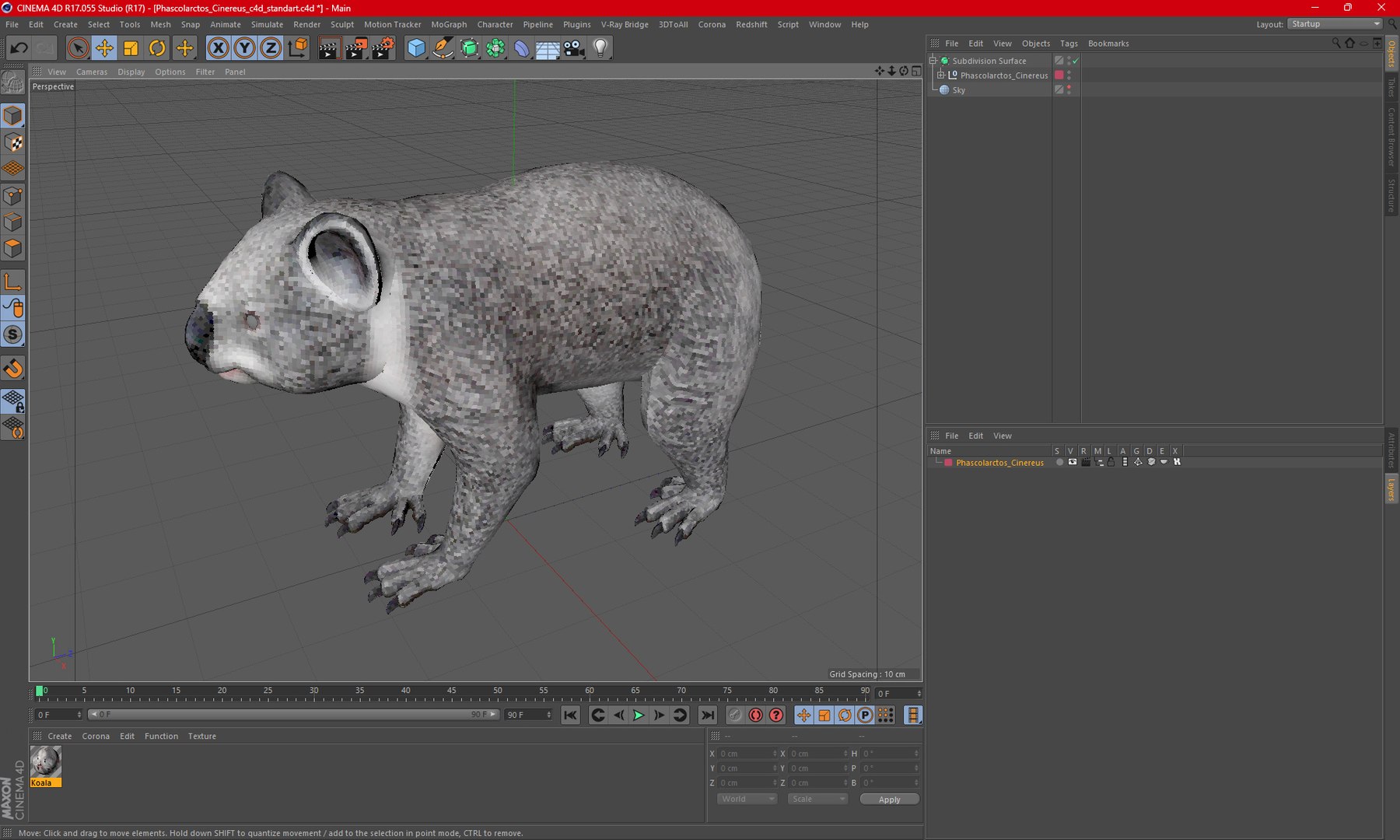 3D Phascolarctos Cinereus - TurboSquid 2167459