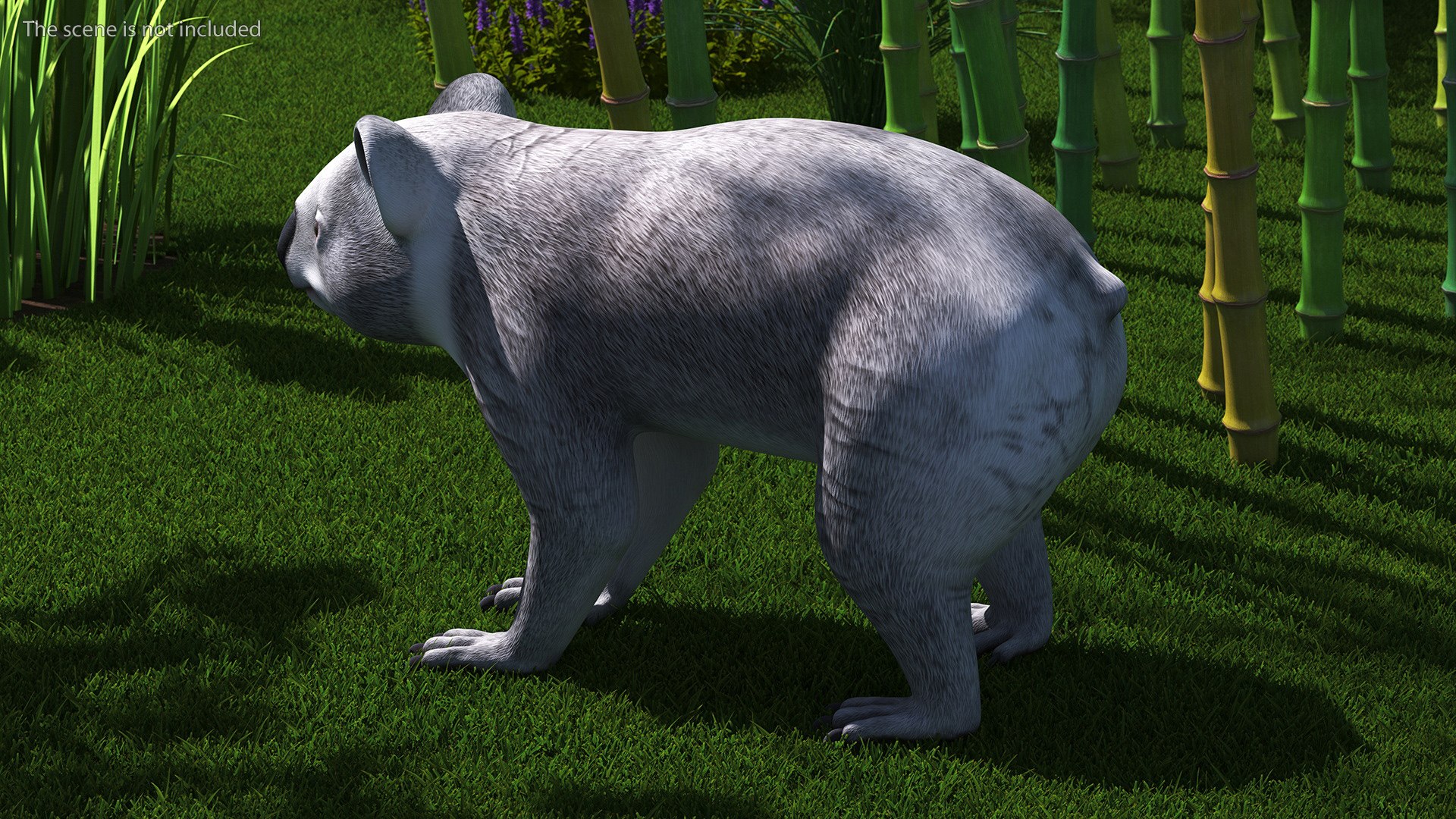 3D Phascolarctos Cinereus - TurboSquid 2167459