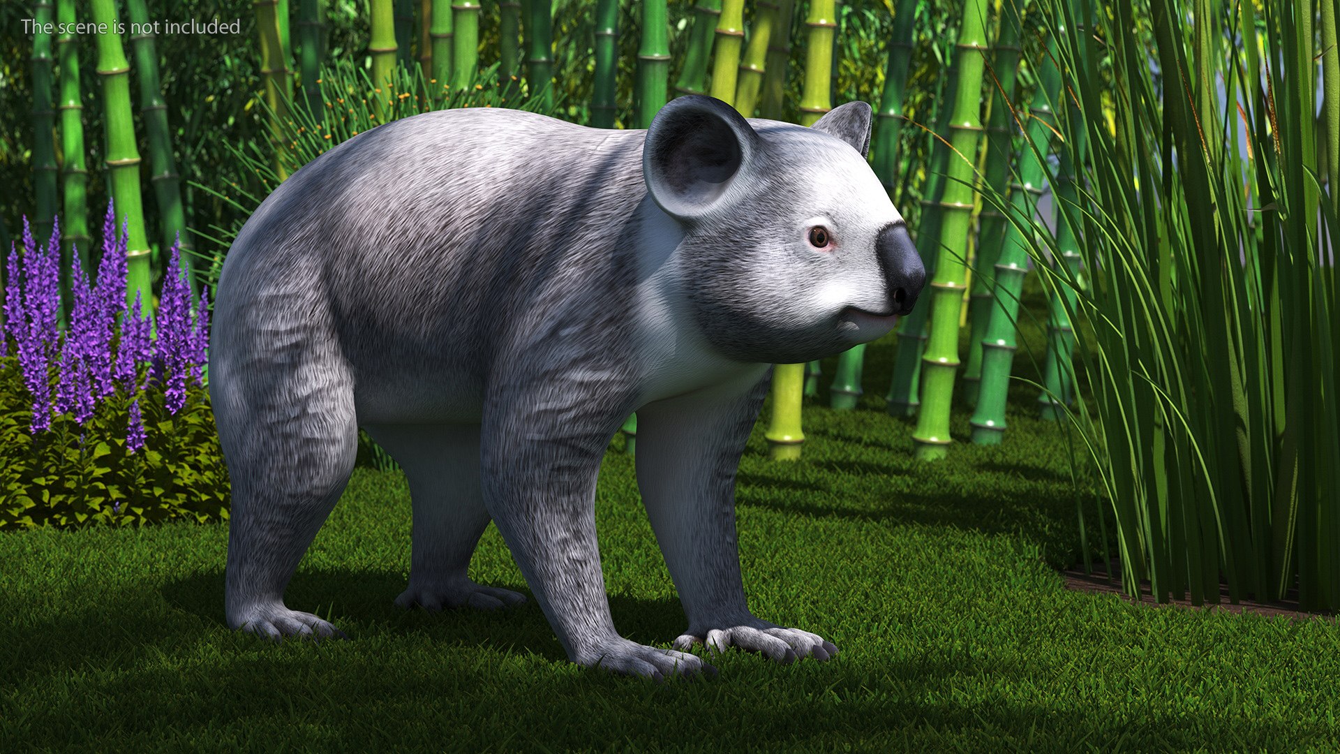 3D Phascolarctos Cinereus - TurboSquid 2167459