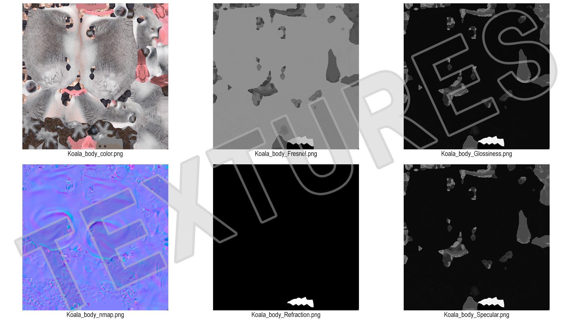 3D Phascolarctos Cinereus - TurboSquid 2167459